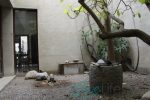 The Mir House - An Urban Sanctuary (Part 1) - Home Love Lifestyle