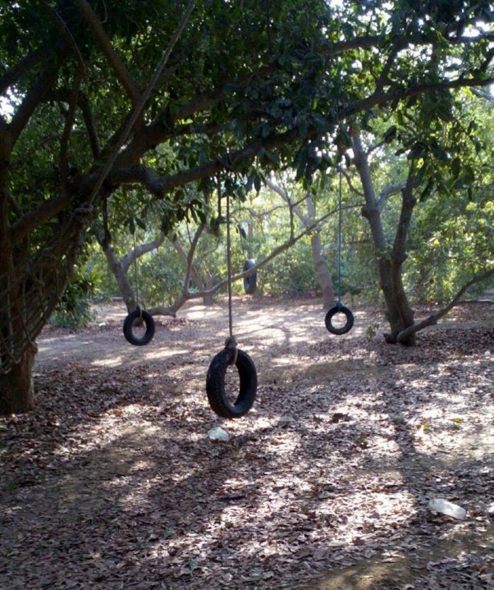 My Visit to the Pasha Farm - Home Love Lifestyle