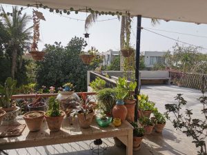 Elegant Upper Portion - Home Love Lifestyle