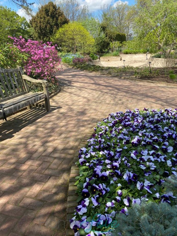 Chicago Botanic Gardens: Ablaze with Spring Colours - Home Love Lifestyle