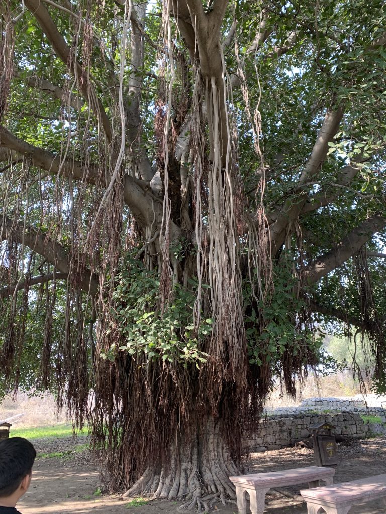 Journey into the Past: Historic Sites in Pakistan - Home Love Lifestyle