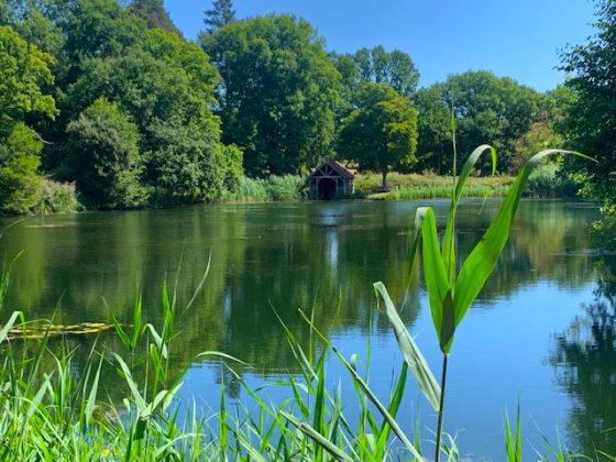 Kent: A Getaway to the ‘Garden of England’ - Home Love Lifestyle